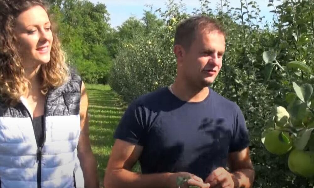 Ивана и Матија ЗАМИНАВМЕ ВО ИСТРА КАКО СЕЗОНСКИ РАБОТНИЦИ: Но, наместо ...